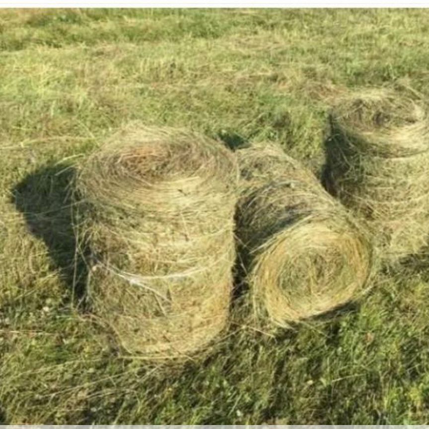 Продам сено в мини рулонах (вес 27 кг  )
