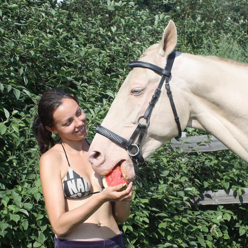 Сайд пул Безтрензельная уздечка