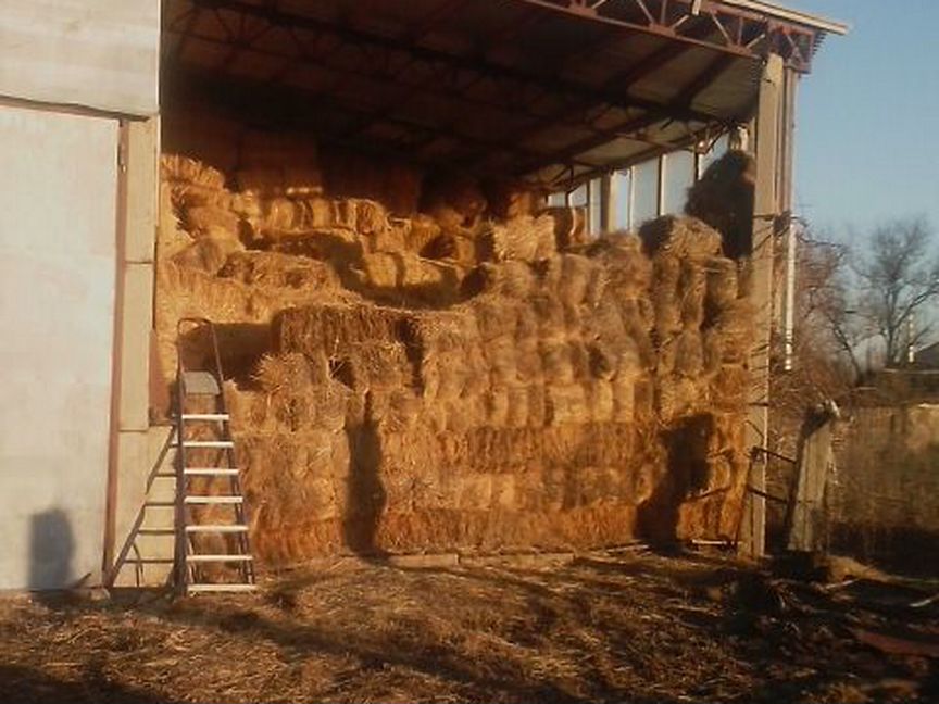 Сено в тюках