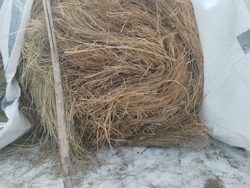 Продам сено в рулонах