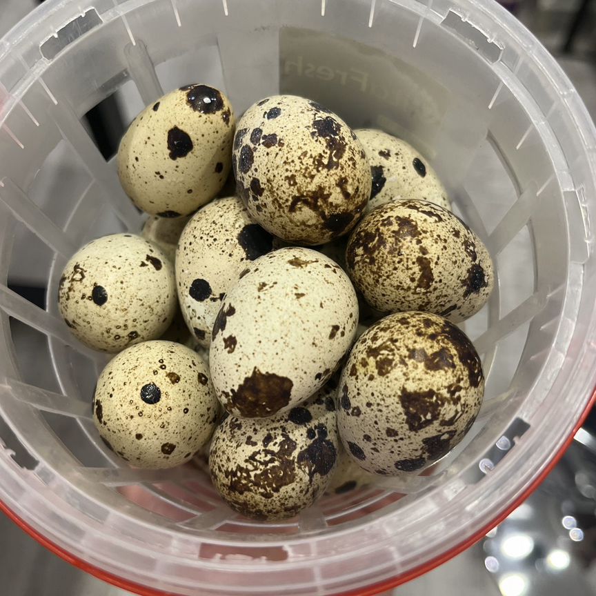 Яйца перепелиные домашние