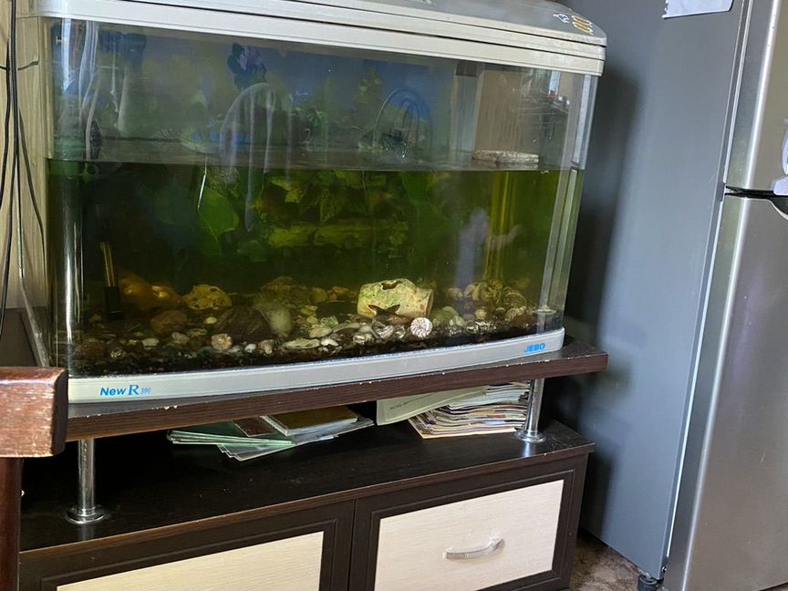 Аквариум+ тумба