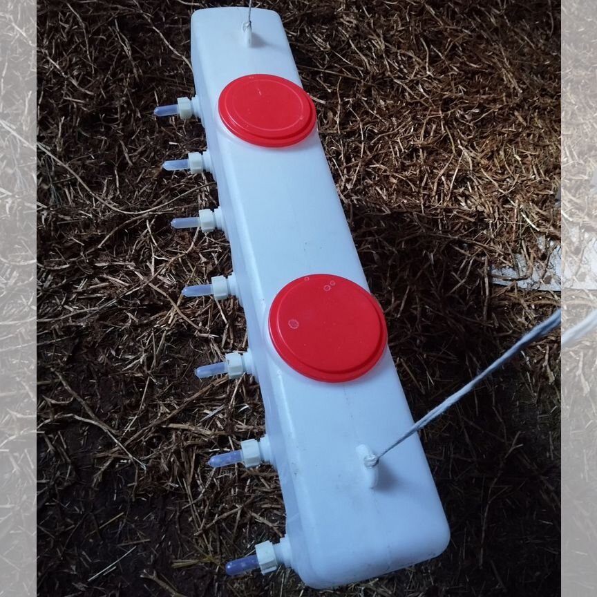 Поилка для козлят,ягнят