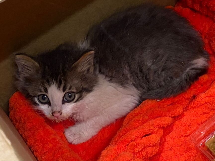 Маленькая кнопка