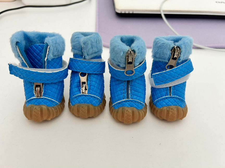 Обувь для маленьких собак