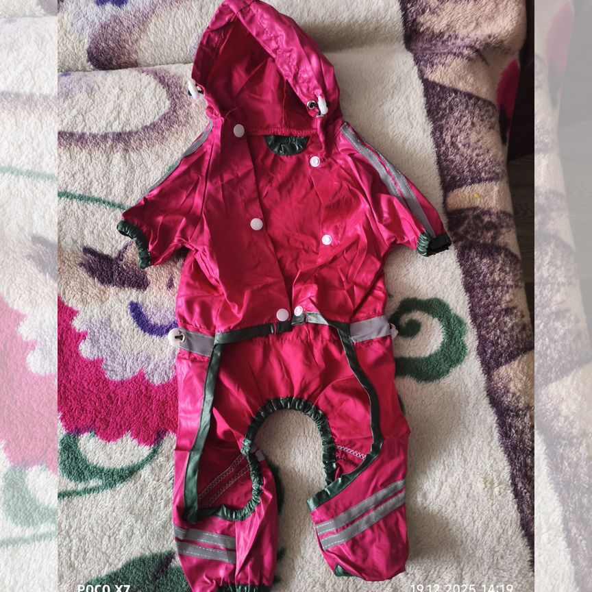 Одежда для собак мелких пород