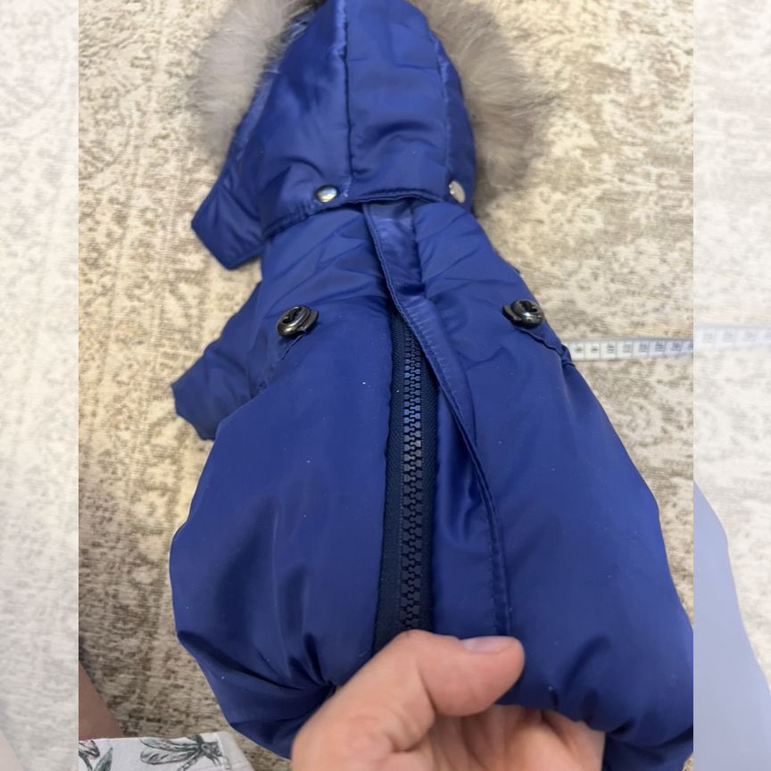 Одежда для маленьких собак м