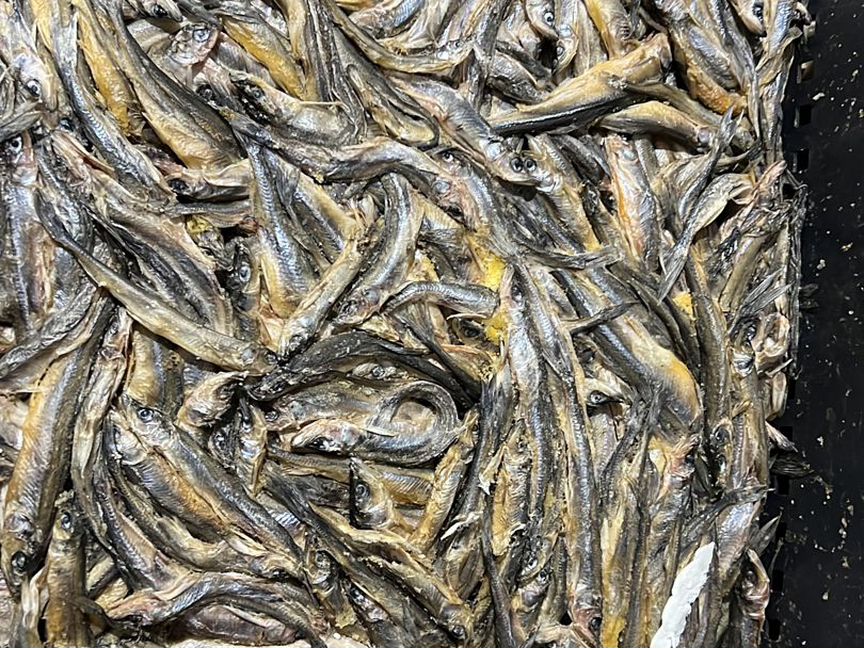 Рыба на корм животным