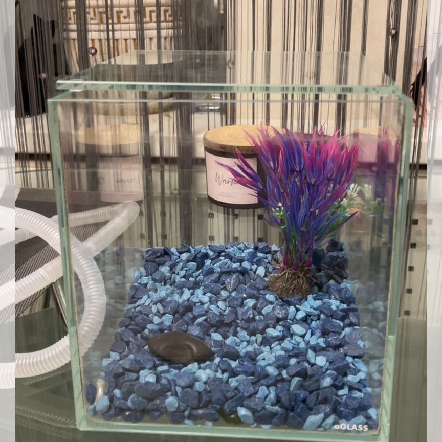 Аквариум с крышкой 10 л