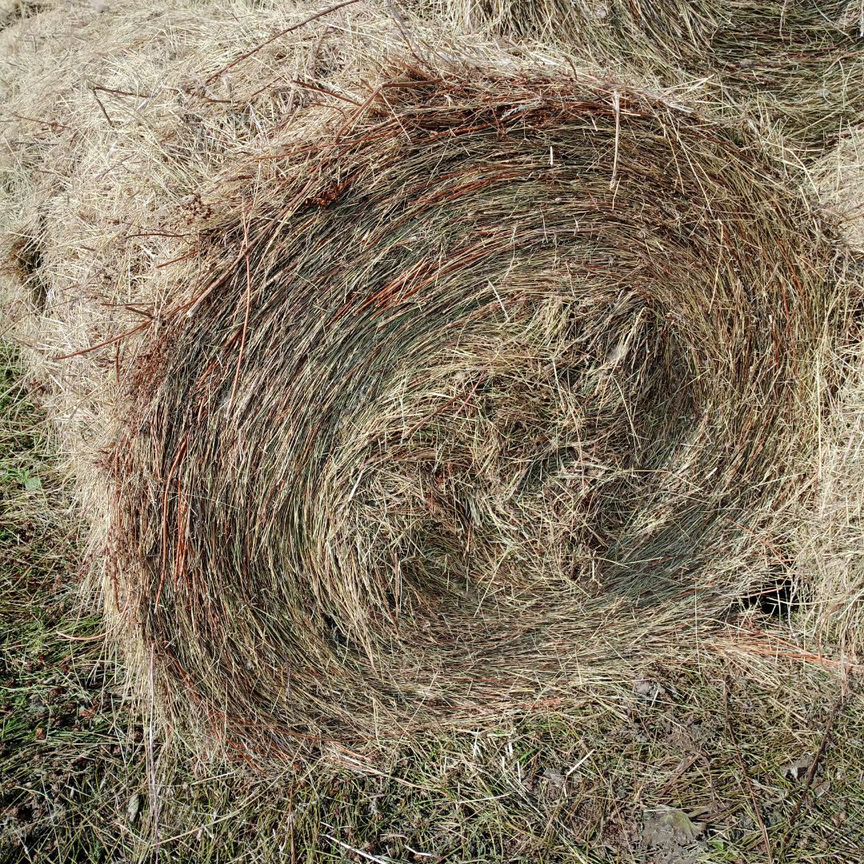 Сено в рулонах