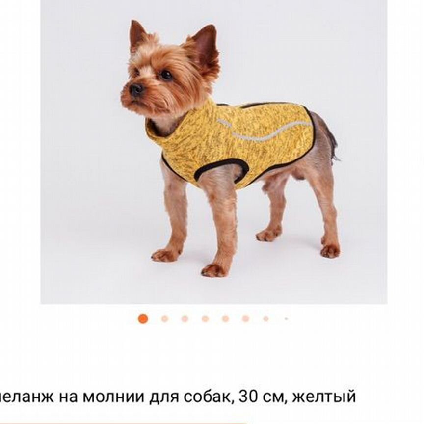 Свитер для собак мелких пород