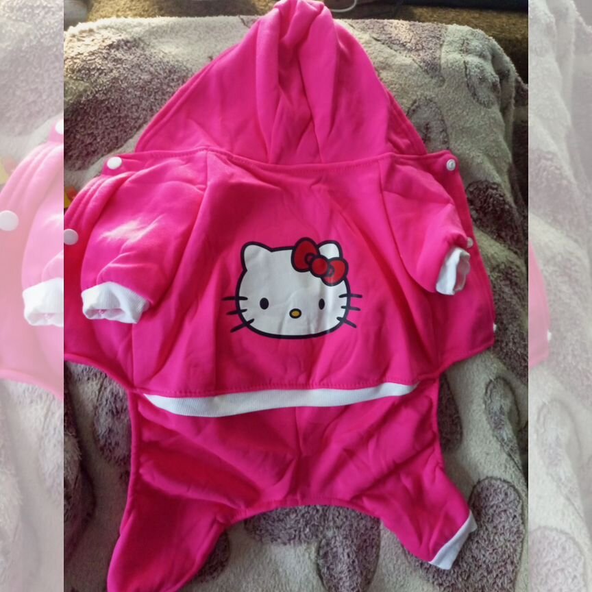 Новые вещи для собак и кошек