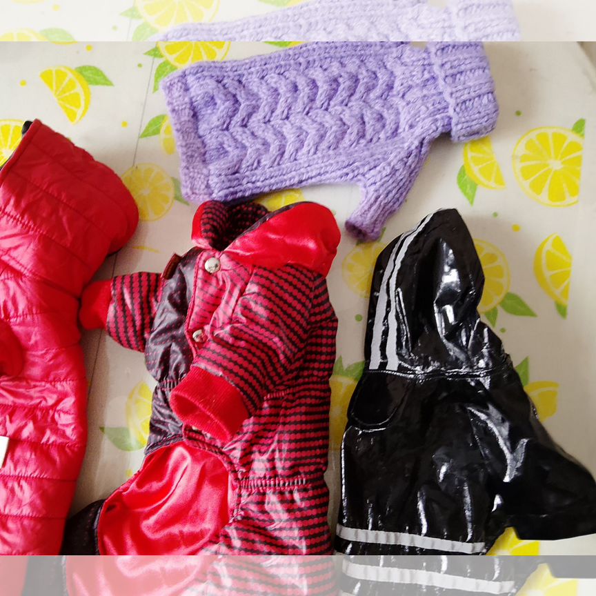 Одежда для маленьких собак