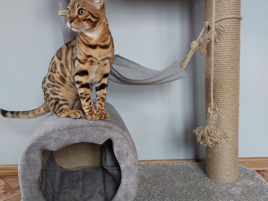 Домик для кошки с когтеточкой