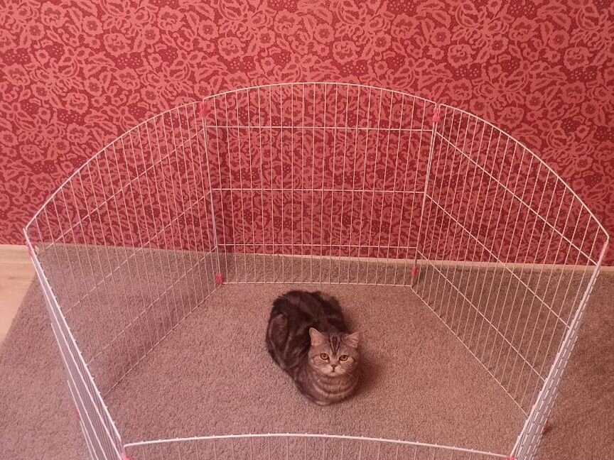 Вольер секционный 55*63,5 см Kredo