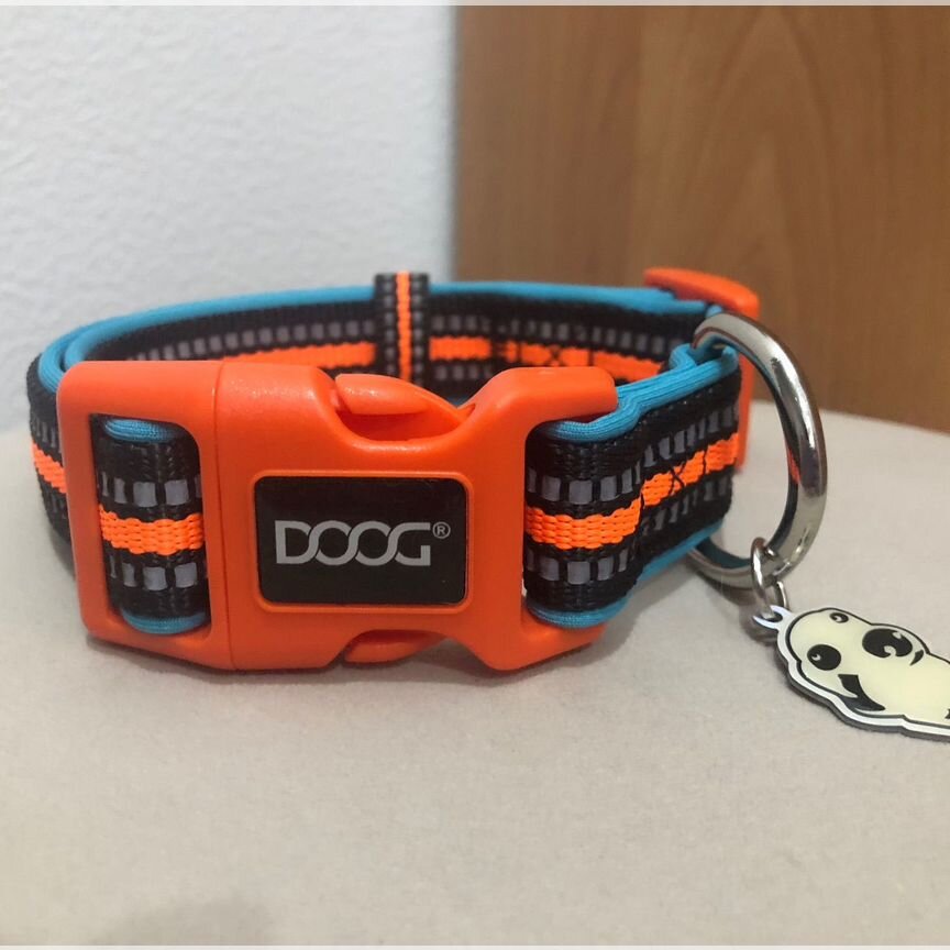 Новый ошейник Doog для собак