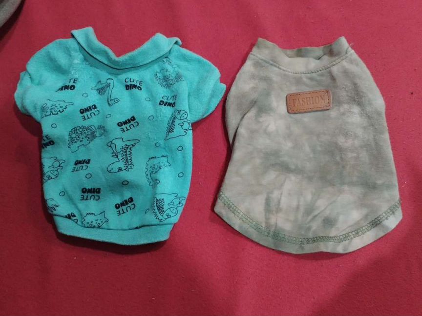 Одежда для котов