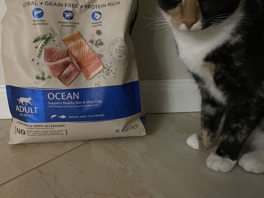 Корм для кошек core