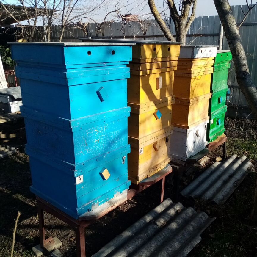 Ульи для пчел бу 10-и рамочные