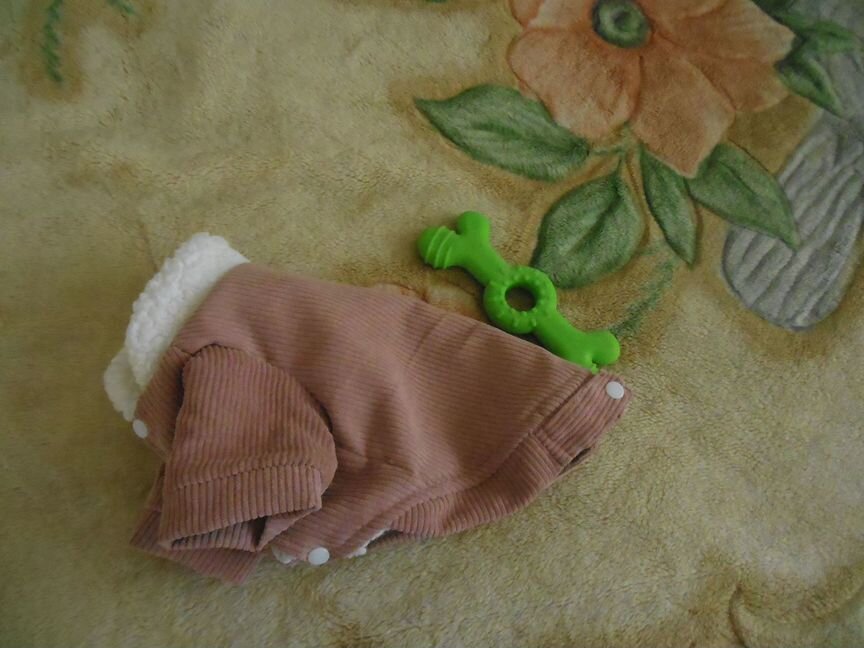 Курточка и игрушка для собаки за шоколадку