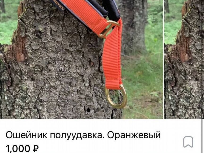 Ошейник полуудавка Friskydog