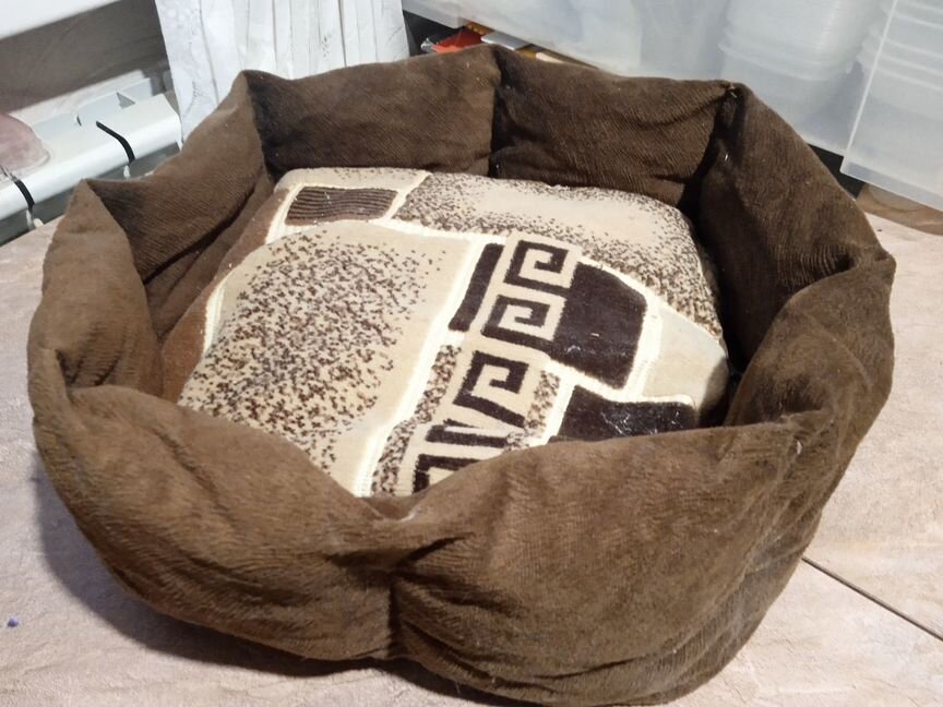 Лежанка и аксессуары для кошек и собак