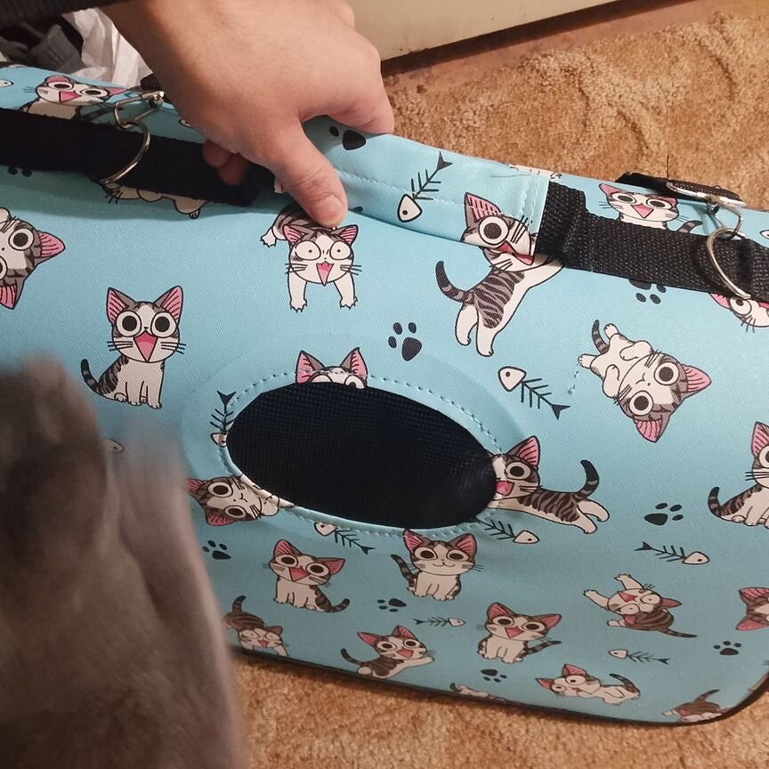 Переноска новая