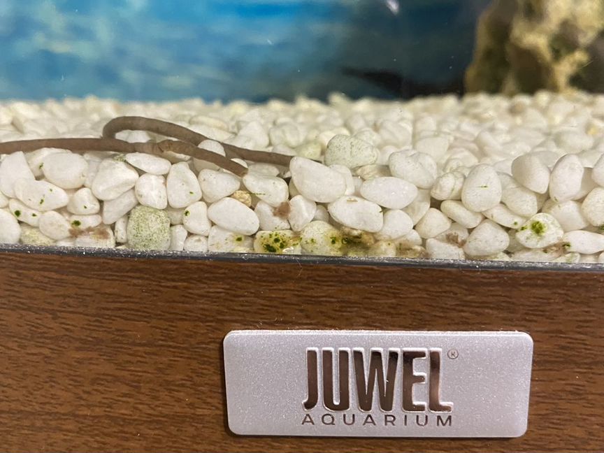 Продам аквариум