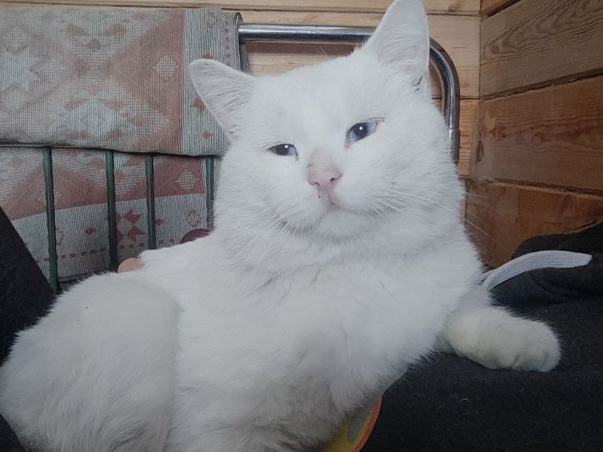 Новогодний снеговичок
