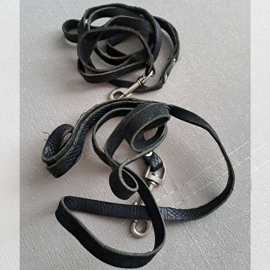 Поводок для маленьких собак