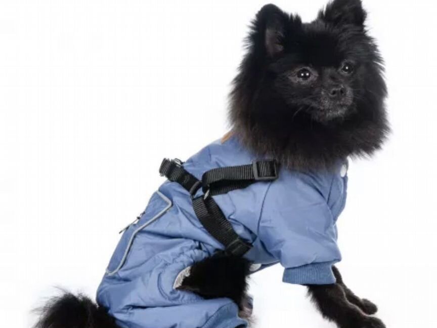 Зимний комбинезон Petmax