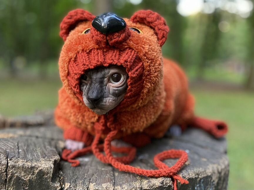 Вязаный комплект Русский медвежонок