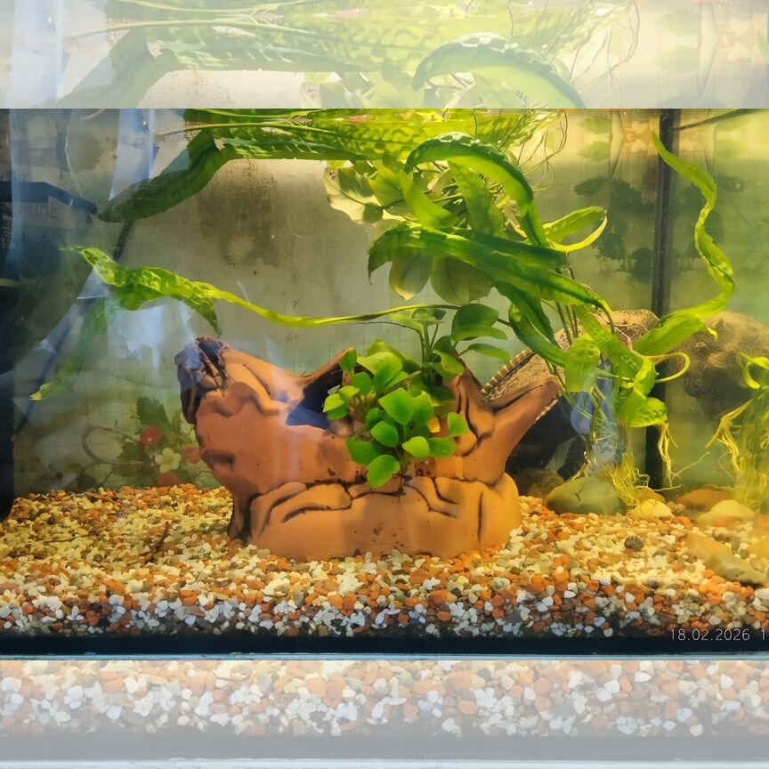 Аквариум с рыбками 72 л