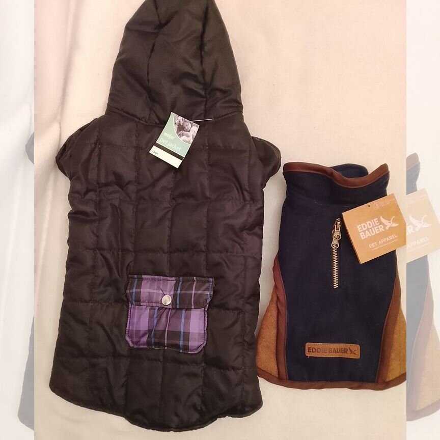 Жилеты для собак