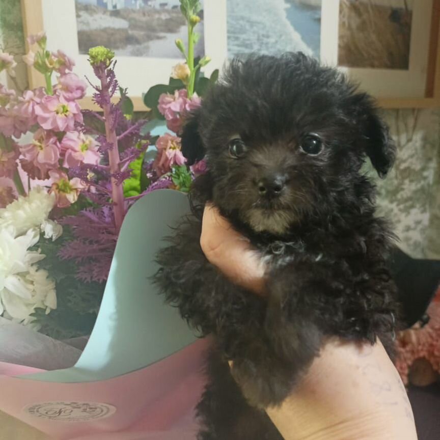 Мини штучки