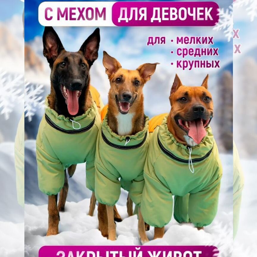 Комбинезон зимний для собак