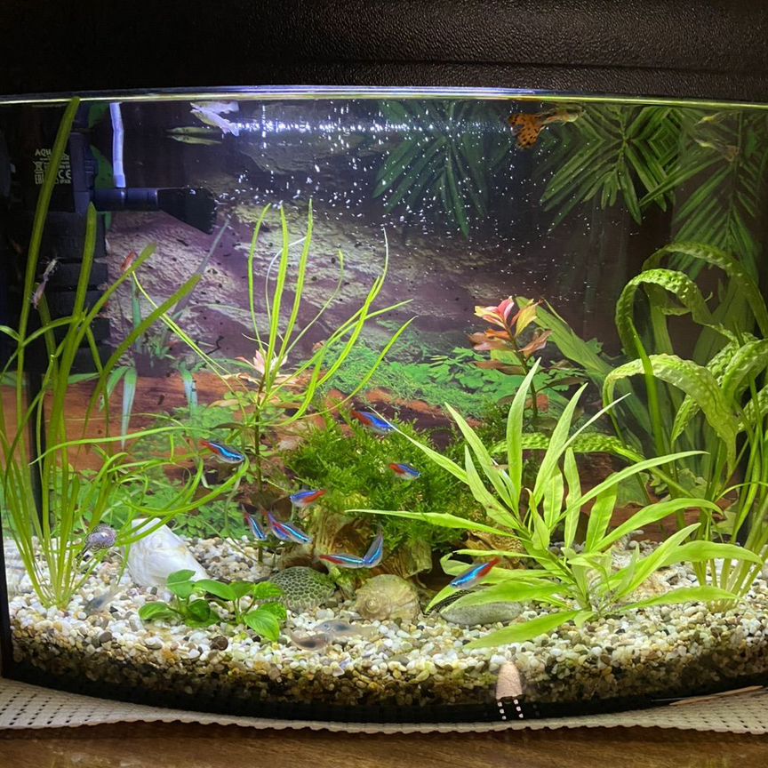 Аквариум 30 литров