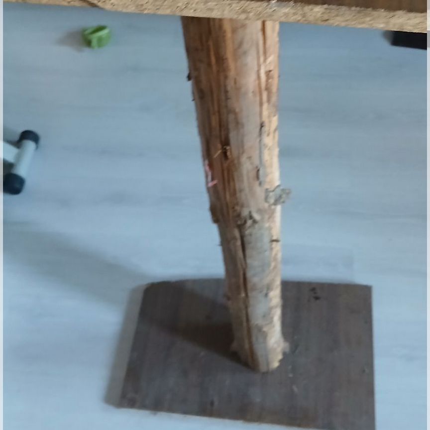 Когтеточка с лежачим местом