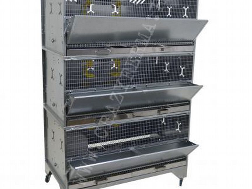 Клетки для выращивания бройлеров