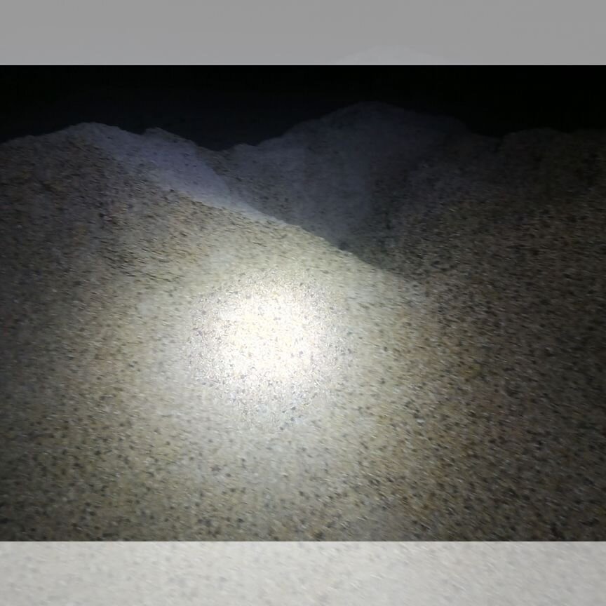 Корма для животных