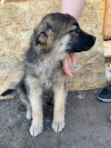 Мальчик Ричи