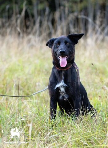 Тринити ждет своих маму и папу