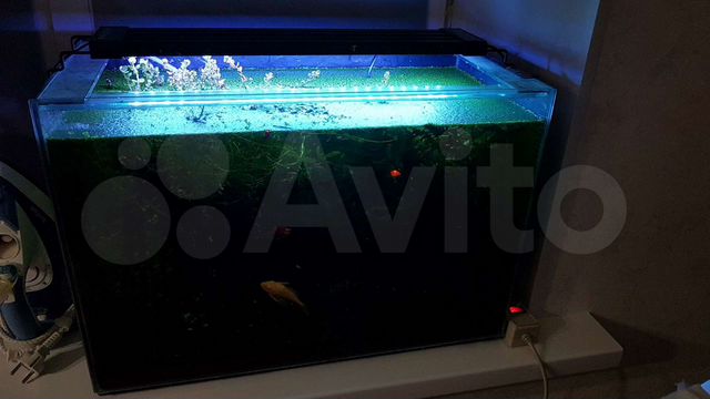 Аквариум