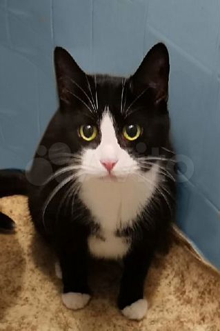 Муся ждет семью