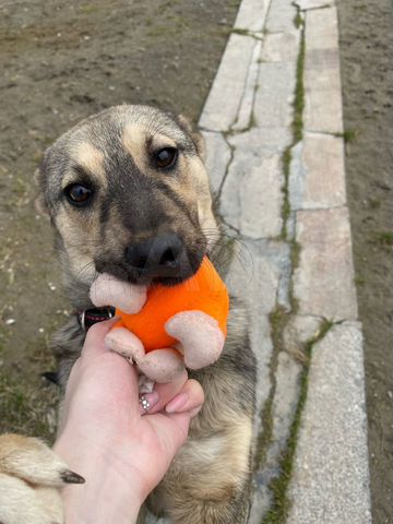 Космос